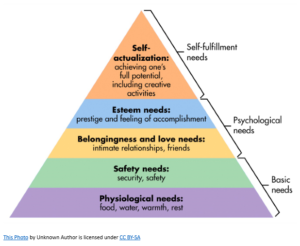 Learning theory – Maslow’s Hierarchy – Windmill Learning